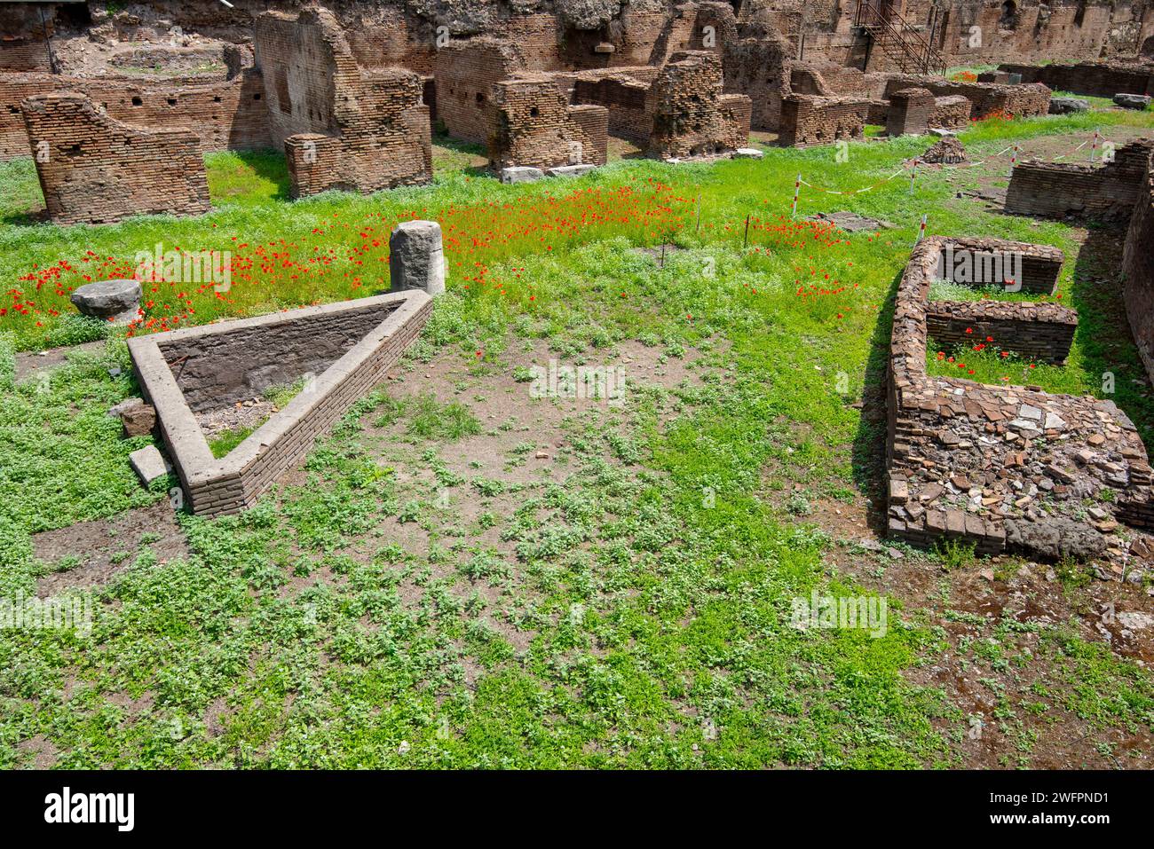 Ruins of Ludus Magnus - Rome - Italy Stock Photo - Alamy