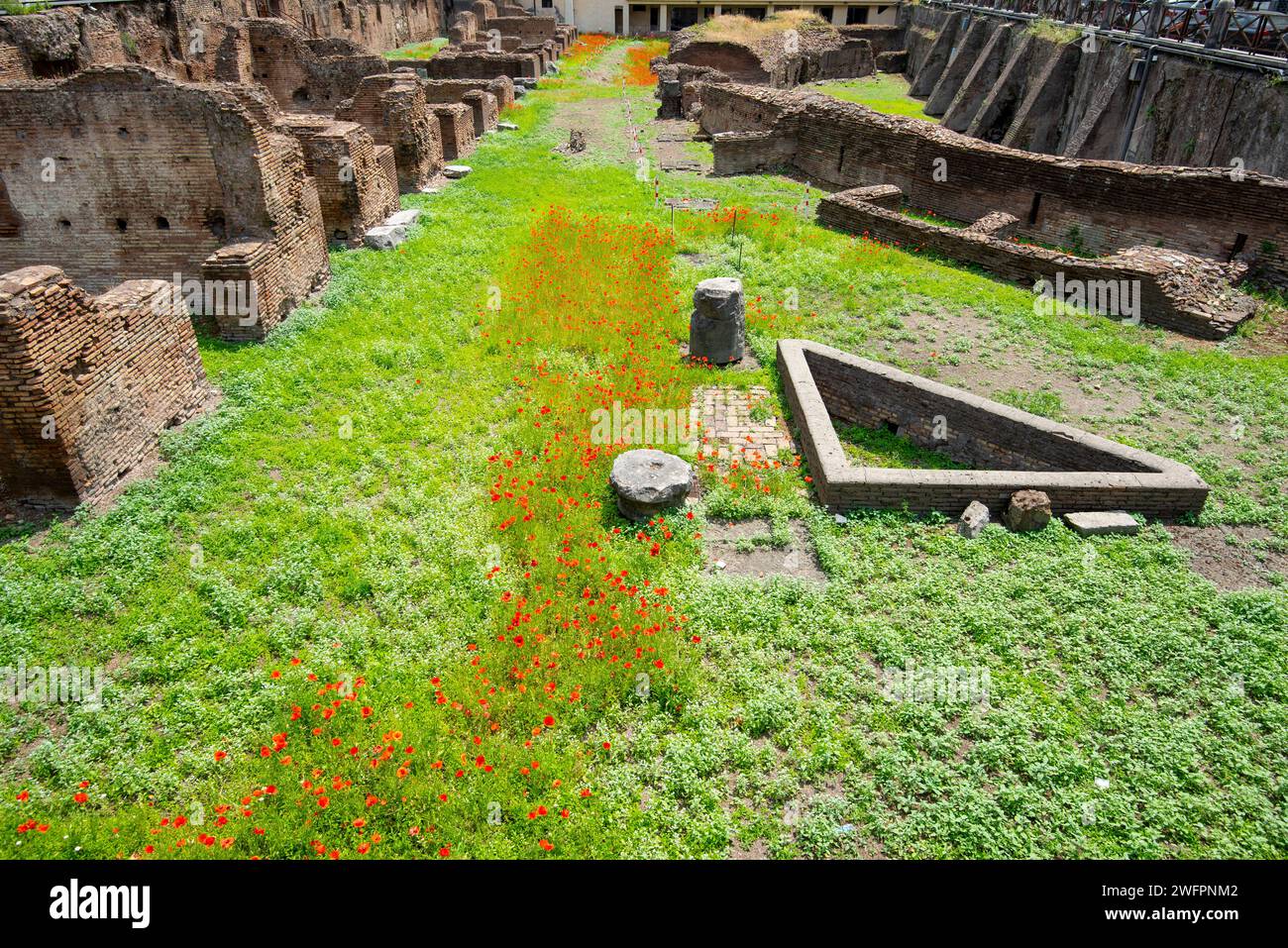 Ruins of Ludus Magnus - Rome - Italy Stock Photo - Alamy