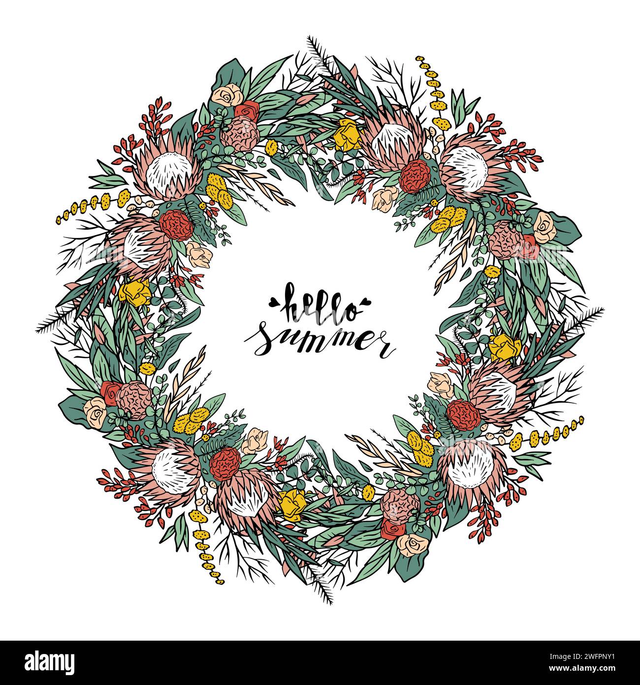 Hand drawn colorful line art tropical protea flower round frame Stock ...