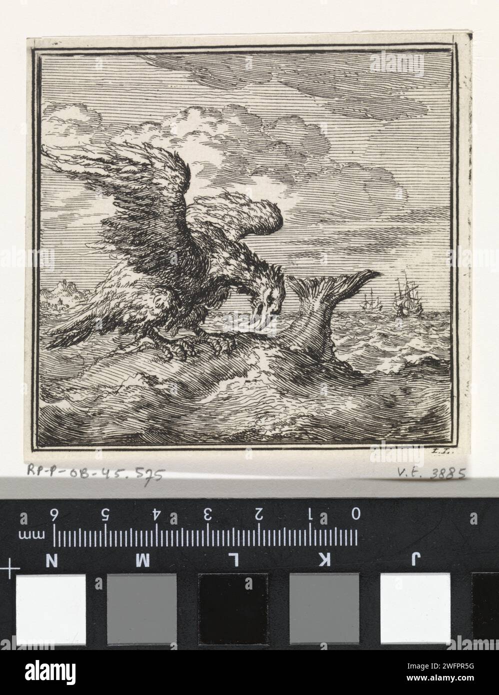 Adelaar has hit his claws in the back of a large fish, Jan Luyken, 1711 ...