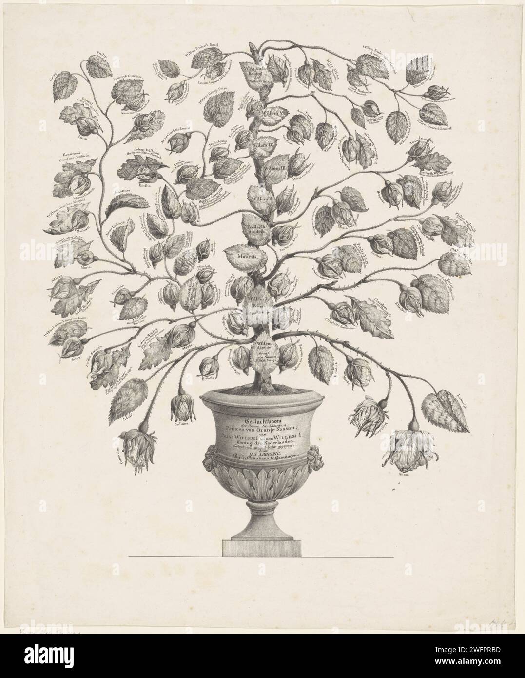 Family tree of the House Oranje -Nassau, 1813 - 1844 print Family tree ...