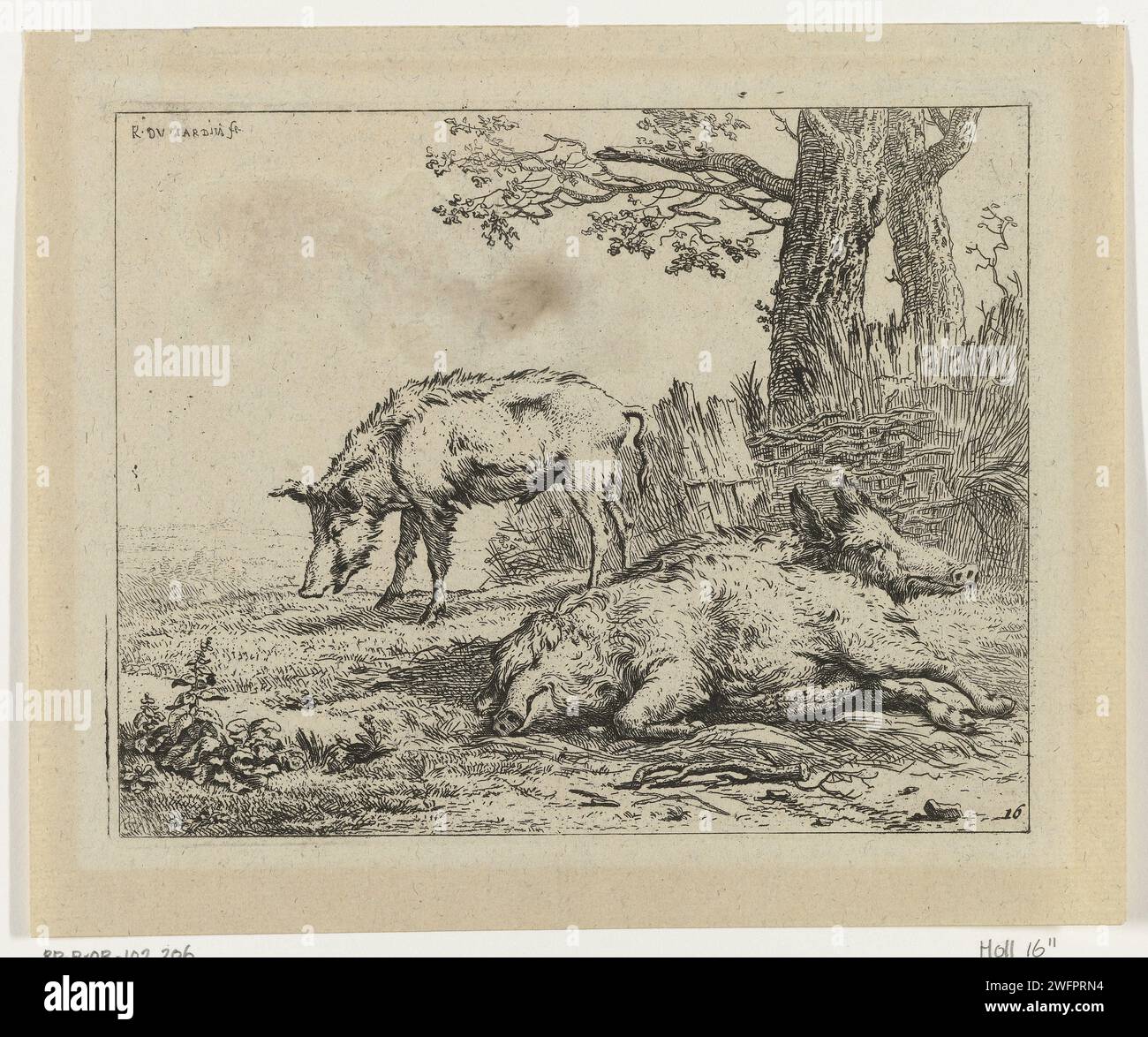 Three pigs by a hedge, 1656 - 1658 print The Hague paper etching hoofed ...