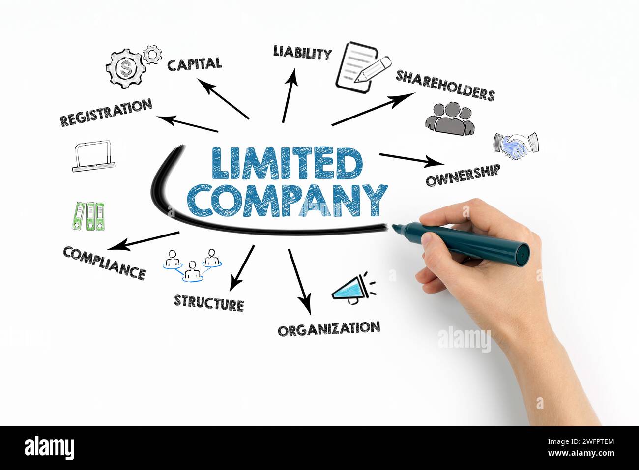 Limited Company Concept. Chart with keywords and icons on white ...