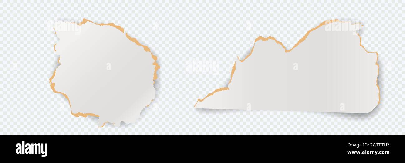 Torn Newspaper Edge Png
