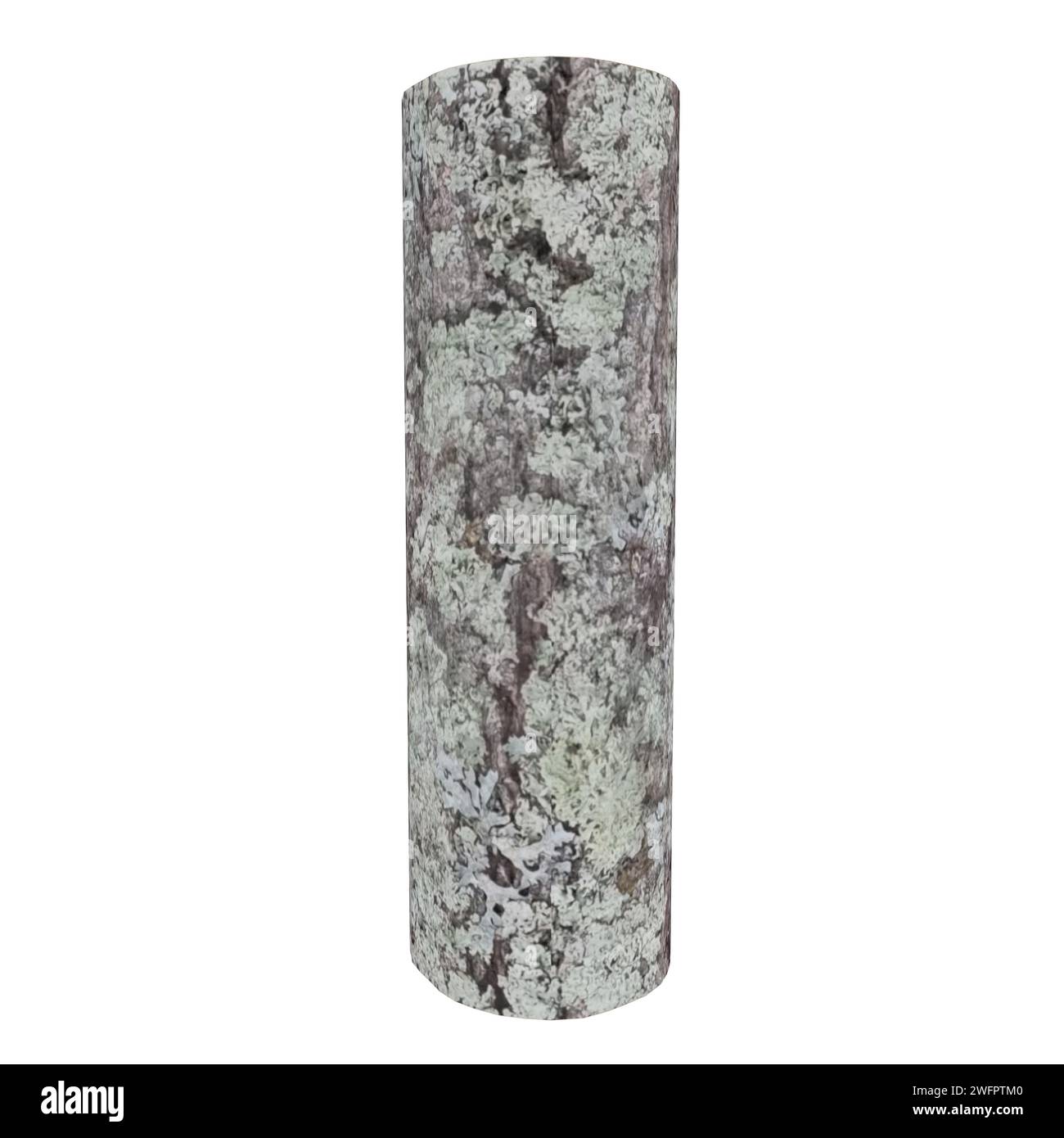 Wood Log isolated on white background. High quality 3d illustration ...