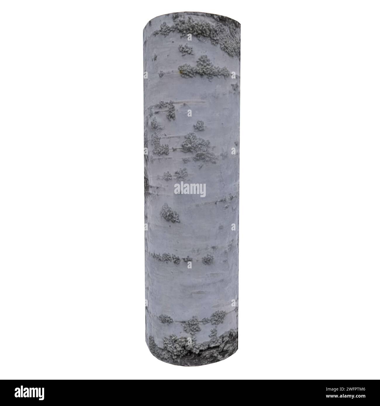 Wood Log isolated on white background. High quality 3d illustration ...