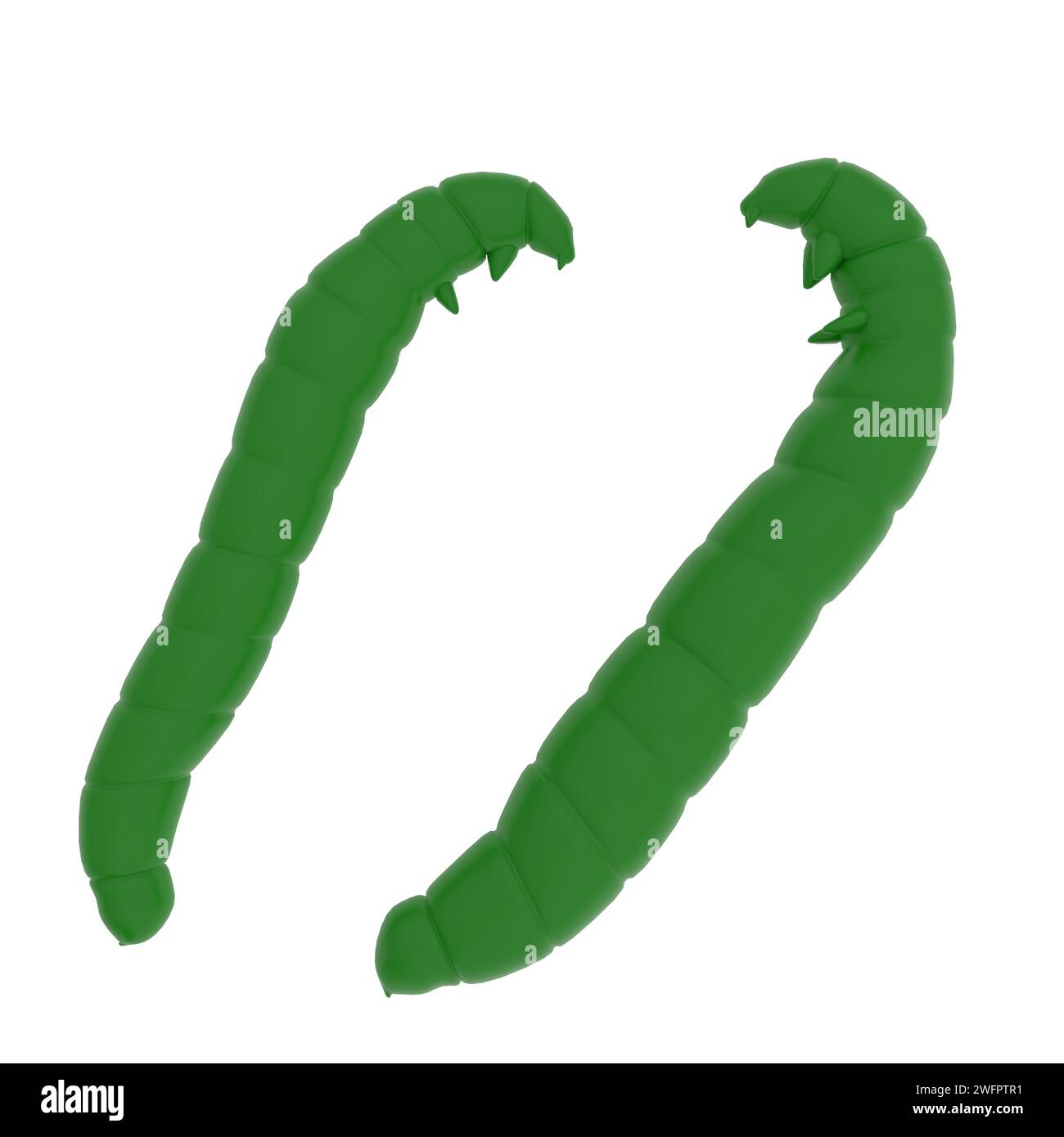 Worm isolated on white background. High quality 3d illustration Stock ...