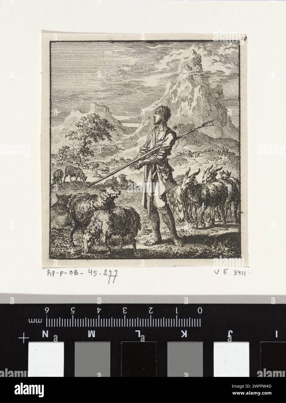 Moses with his shepherd's staff under the arm is amid his herd in the ...