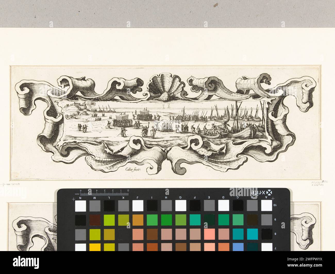 Elongated shell form hi-res stock photography and images - Alamy