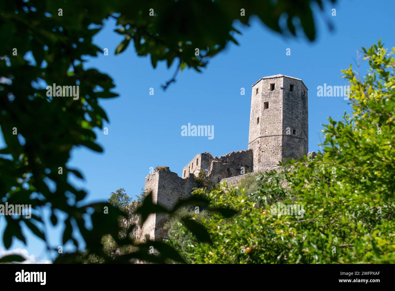 Gavran kapetanovic hi-res stock photography and images - Alamy