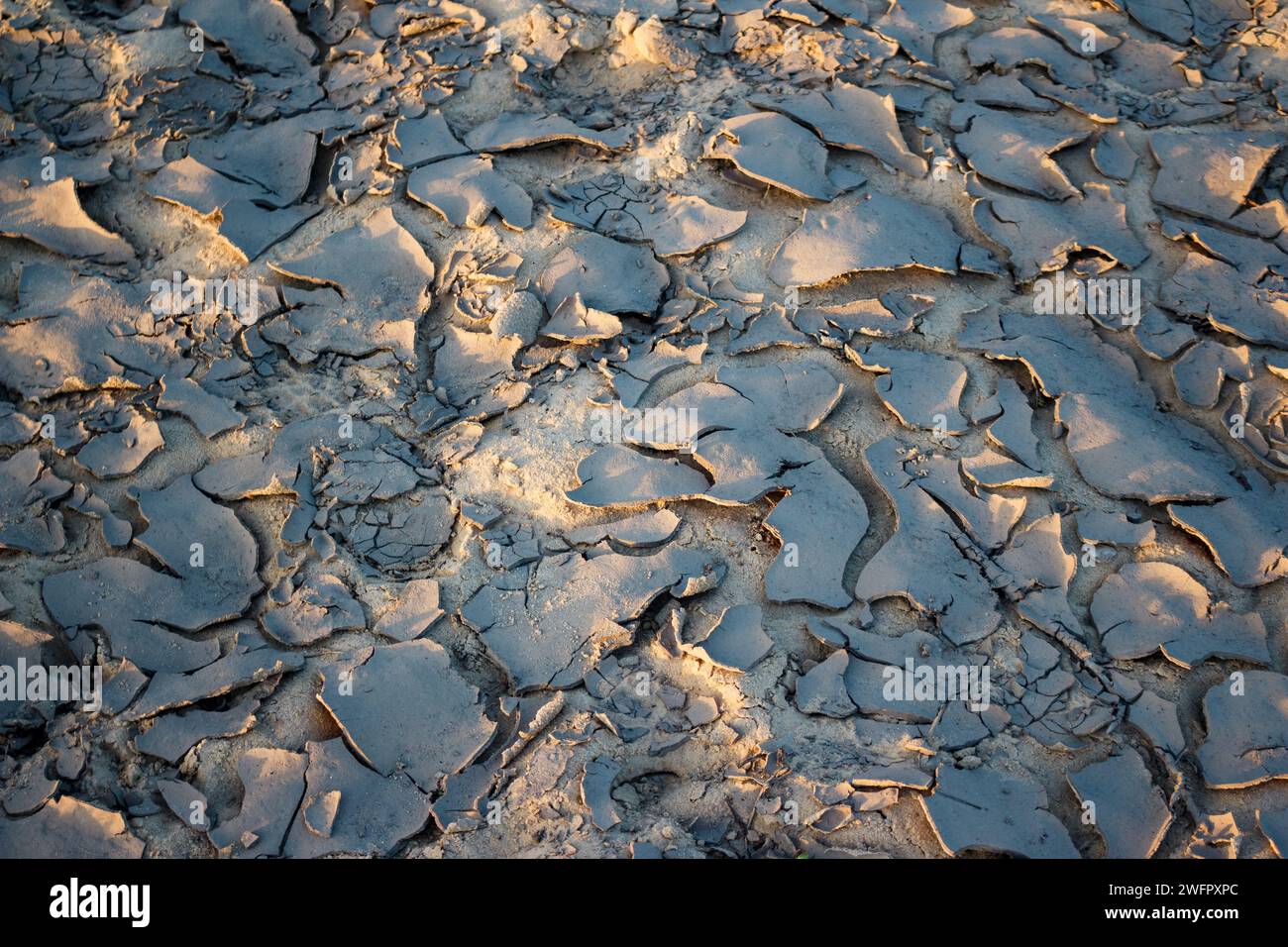Mud drying out hi-res stock photography and images - Alamy