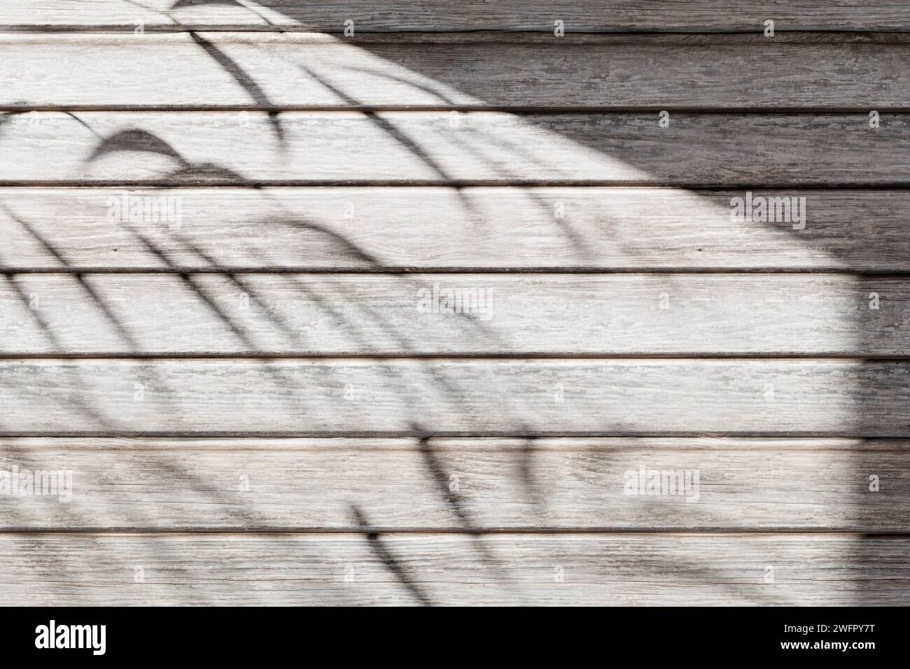 Sunshine, tree shadows, various texture backgrounds Stock Photo - Alamy