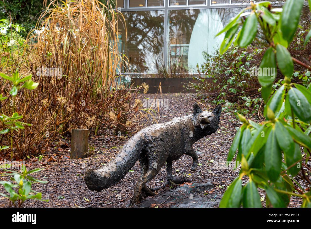 A statue of Mr. Tod a character created by Beatrix Potter at Birnam ...