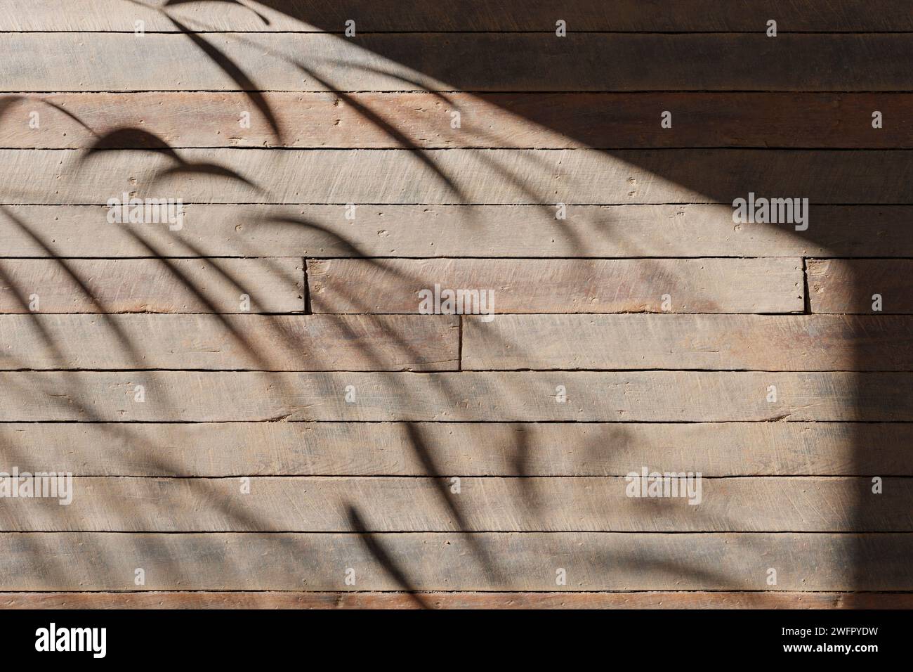 Sunshine, tree shadows, various texture backgrounds Stock Photo - Alamy
