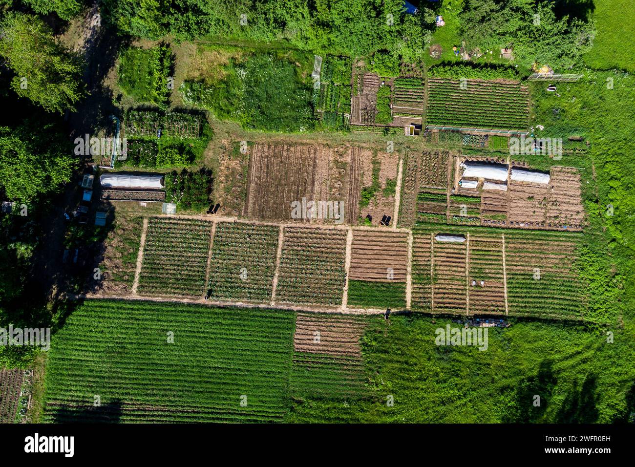 Vegetable plot aerial hi-res stock photography and images - Alamy