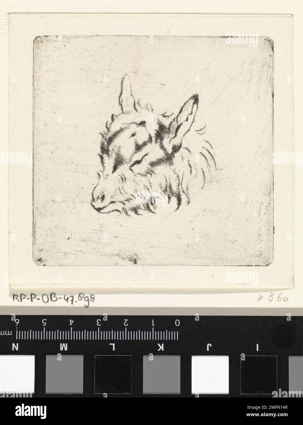 Goat's head to the left, Pieter Janson, 1780 - 1851 print paper goat ...