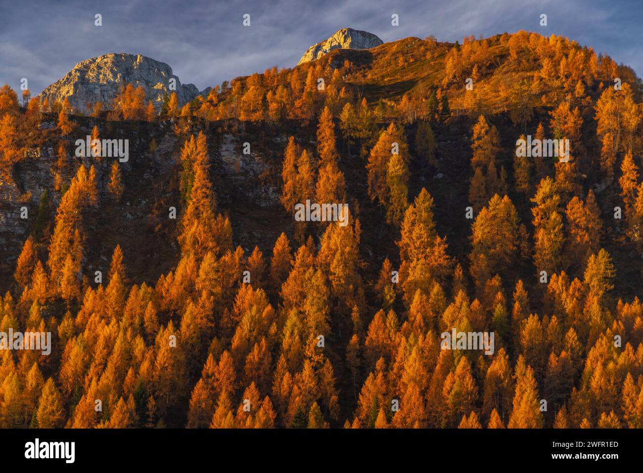 Landscape near Sella di Razzo and Sella di Rioda pass, Carnic Alps ...