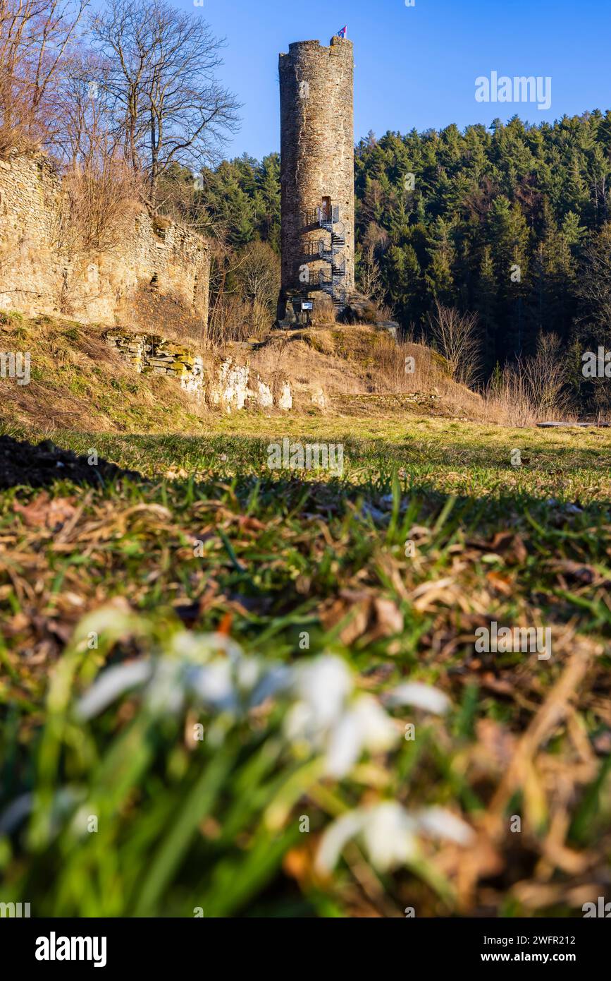 Lower and Upper Castles ruins, Podhradi near As, Western Bohemia, Czech ...
