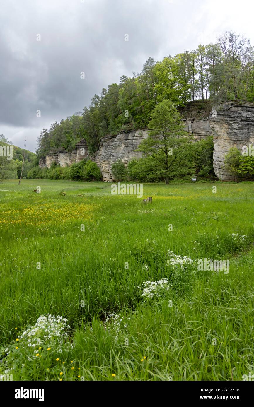 Nature reserve Udoli Plakanek near Kost castle, Eastern Bohemia, Czech ...