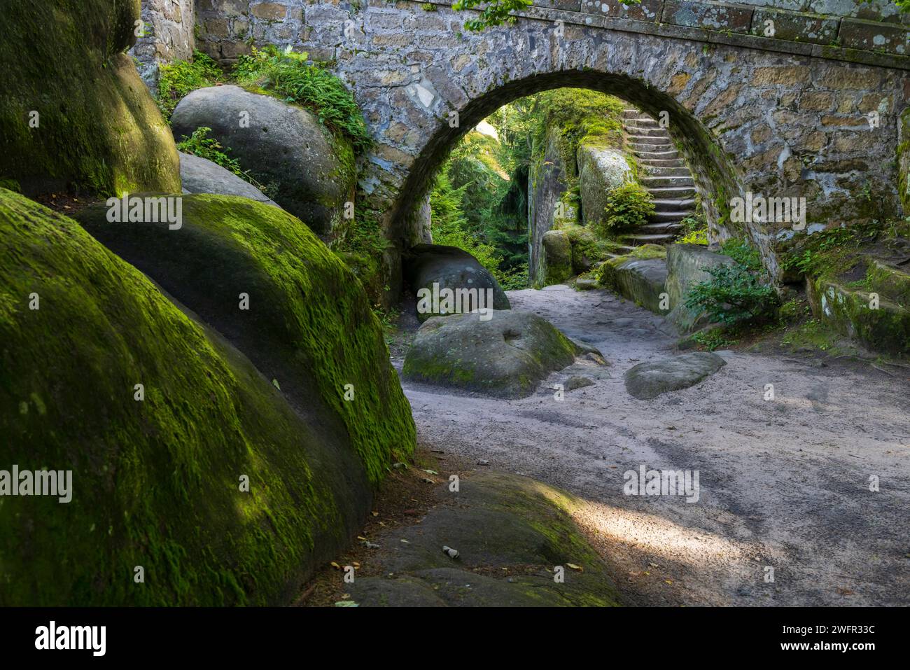 Landscape in a nature reserve Broumovske steny, eastern Bohemia, Czech ...