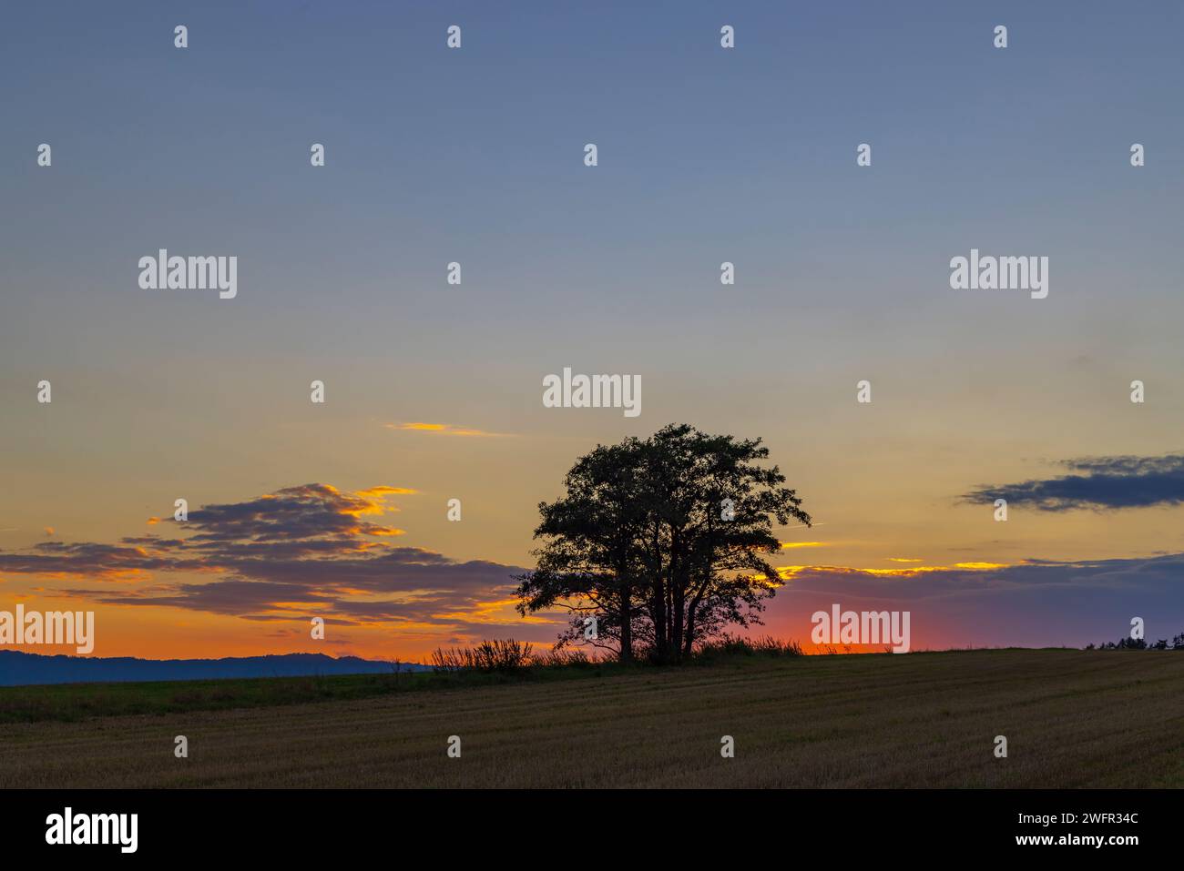 Landscape in a nature reserve Broumovske steny, eastern Bohemia, Czech ...