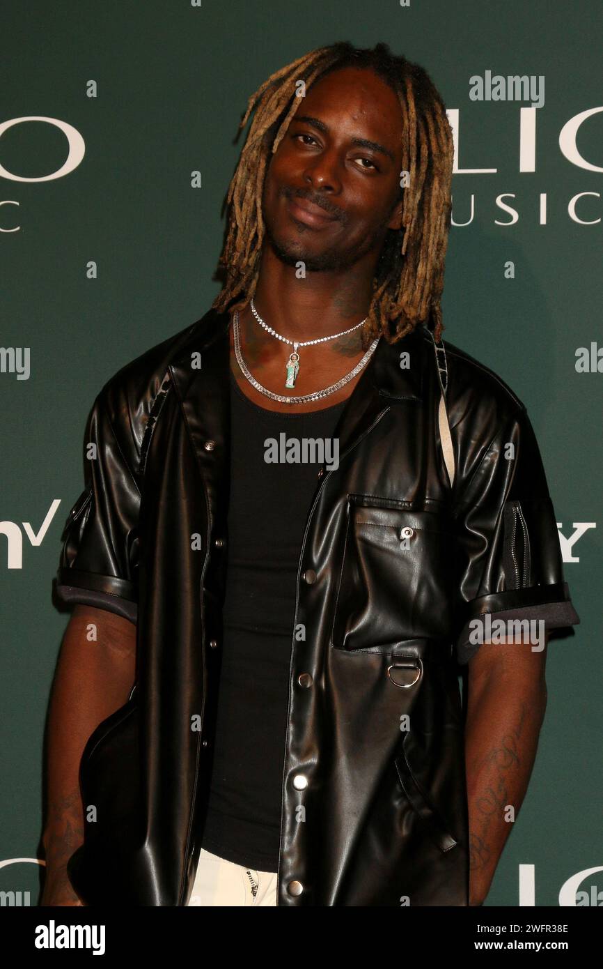 LOS ANGELES - JAN 31: IMG at the 2024 Clio Music Awards at the ...