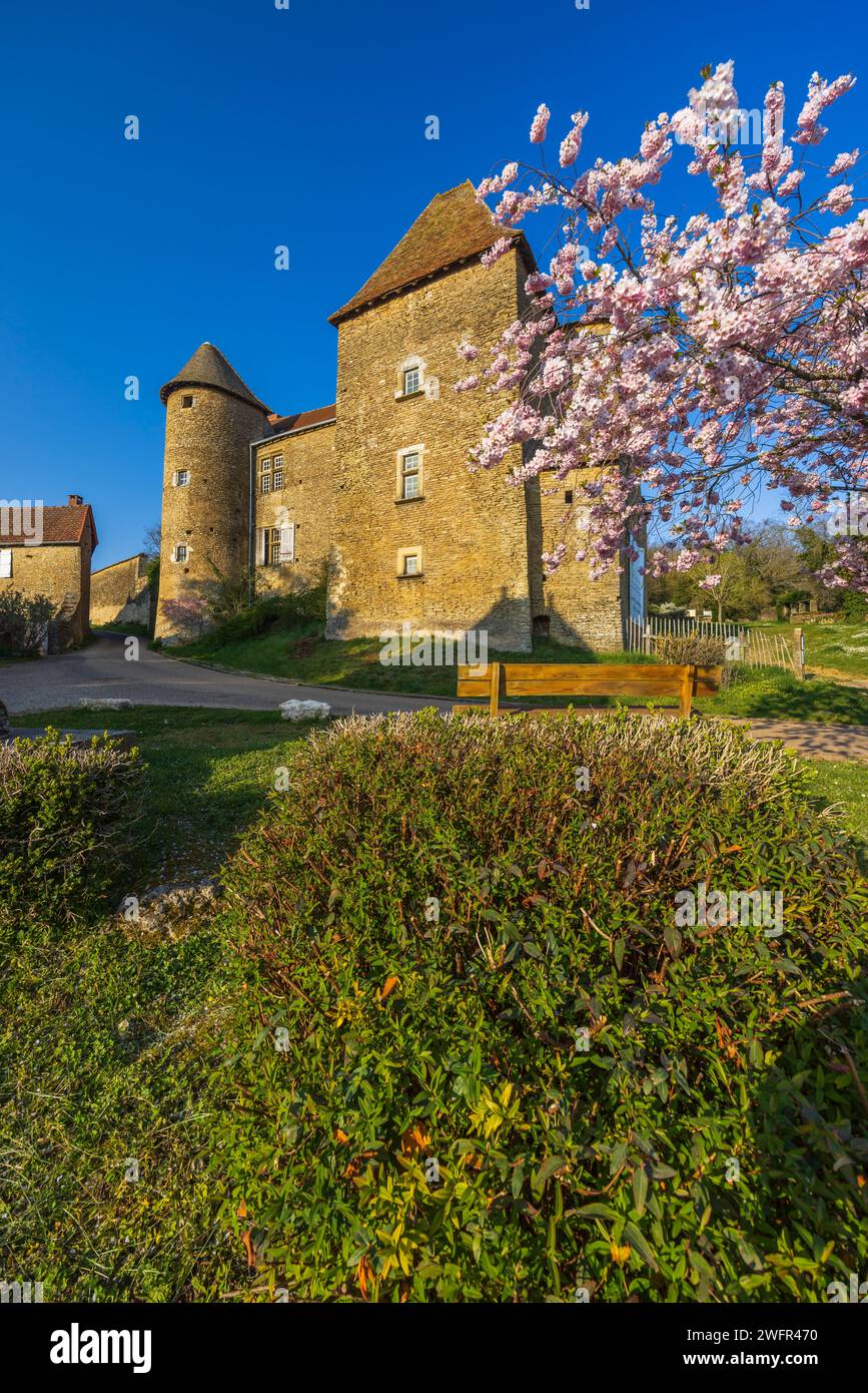 Chateau de Bissy-sur-Fley too Chateau de Pontus de Tyard, Bissy-sur ...