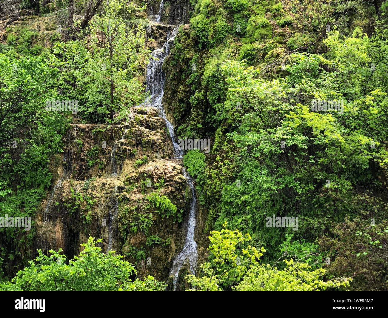 A waterfall cascades through rocks amid lush woodland Stock Photo - Alamy