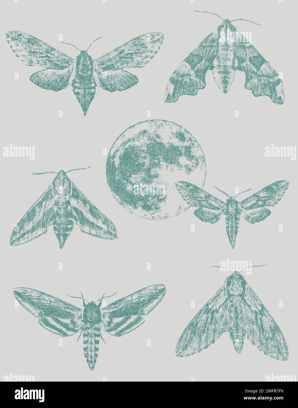 Celestial Lepidoptera: Graphic Art with Moon and Moths Stock Photo - Alamy