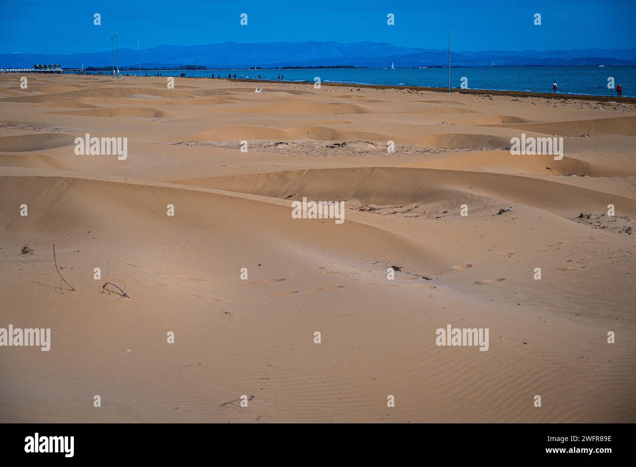 The wild beach of Lignano Sabbiadoro Dune coasts before the arrival of ...