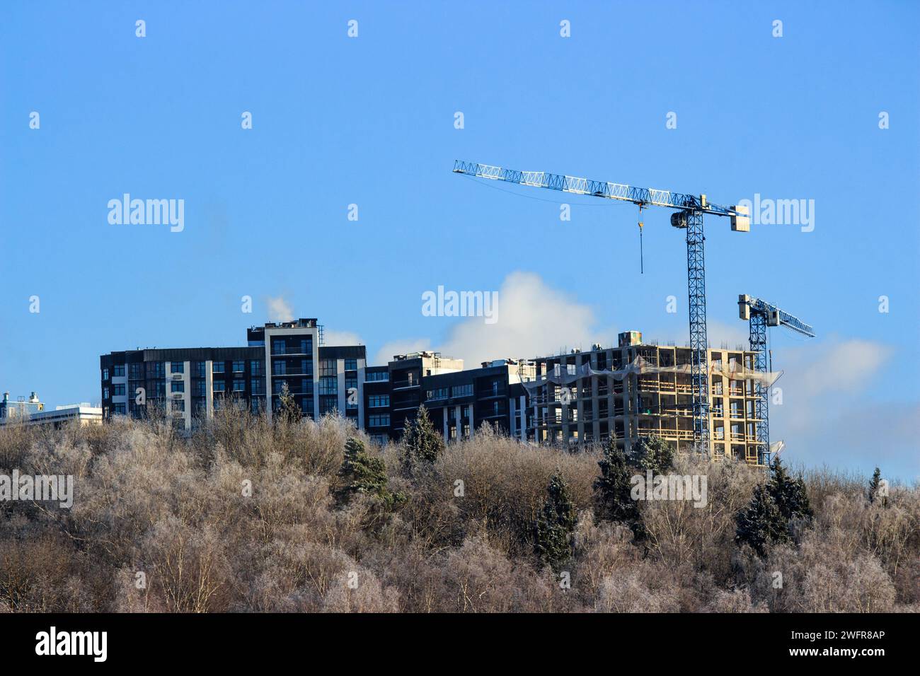 New buildings rising above the treetops, city growth Stock Photo - Alamy
