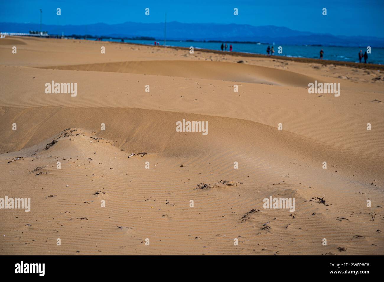 The wild beach of Lignano Sabbiadoro Dune coasts before the arrival of ...