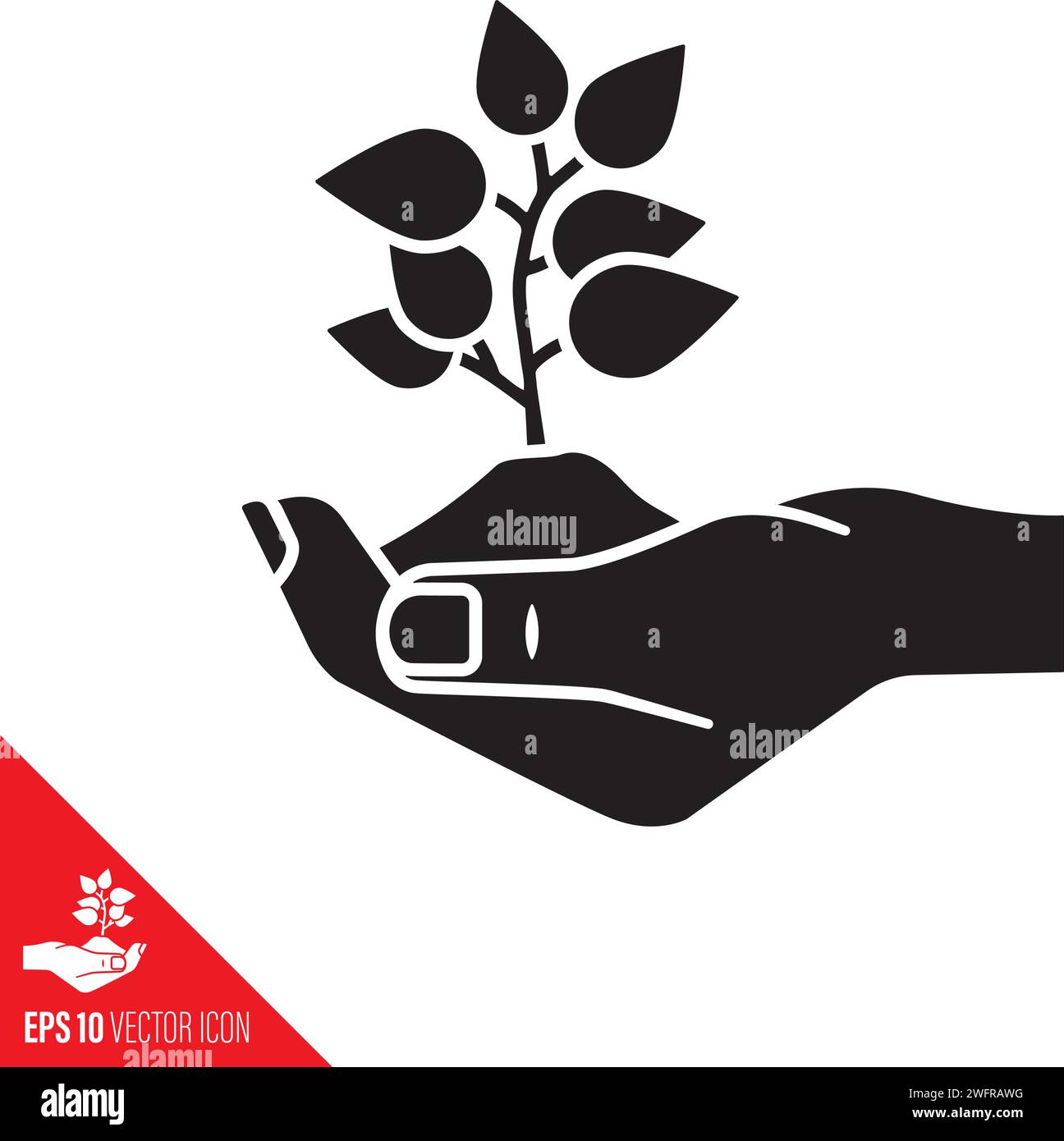 Hand holding tree seedling vector icon for World Environment Day on ...