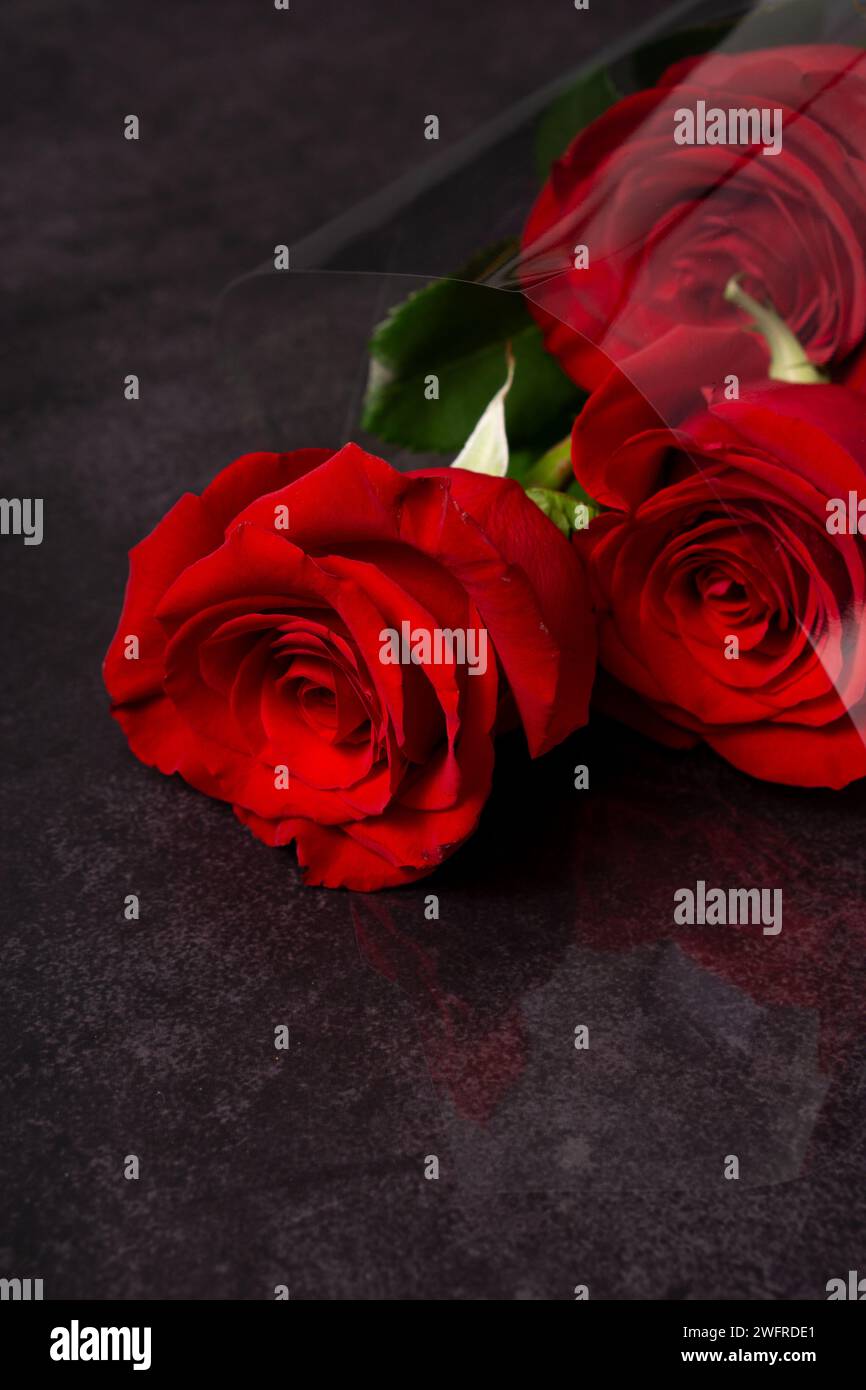Set of three red roses in a bouquet laying on a dark grey textured ...