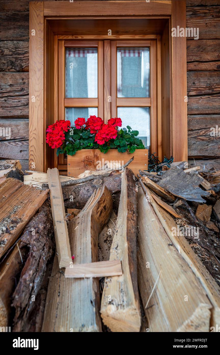 Sauris, pearl of Carnia. Ancient village with wooden and stone houses ...