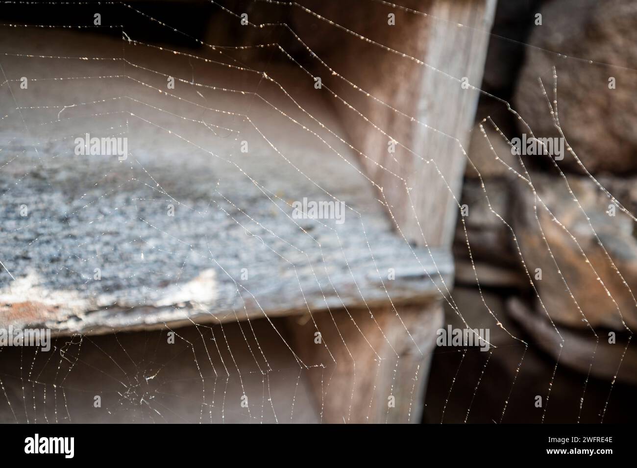 Sauris, pearl of Carnia. Ancient village with wooden and stone houses ...