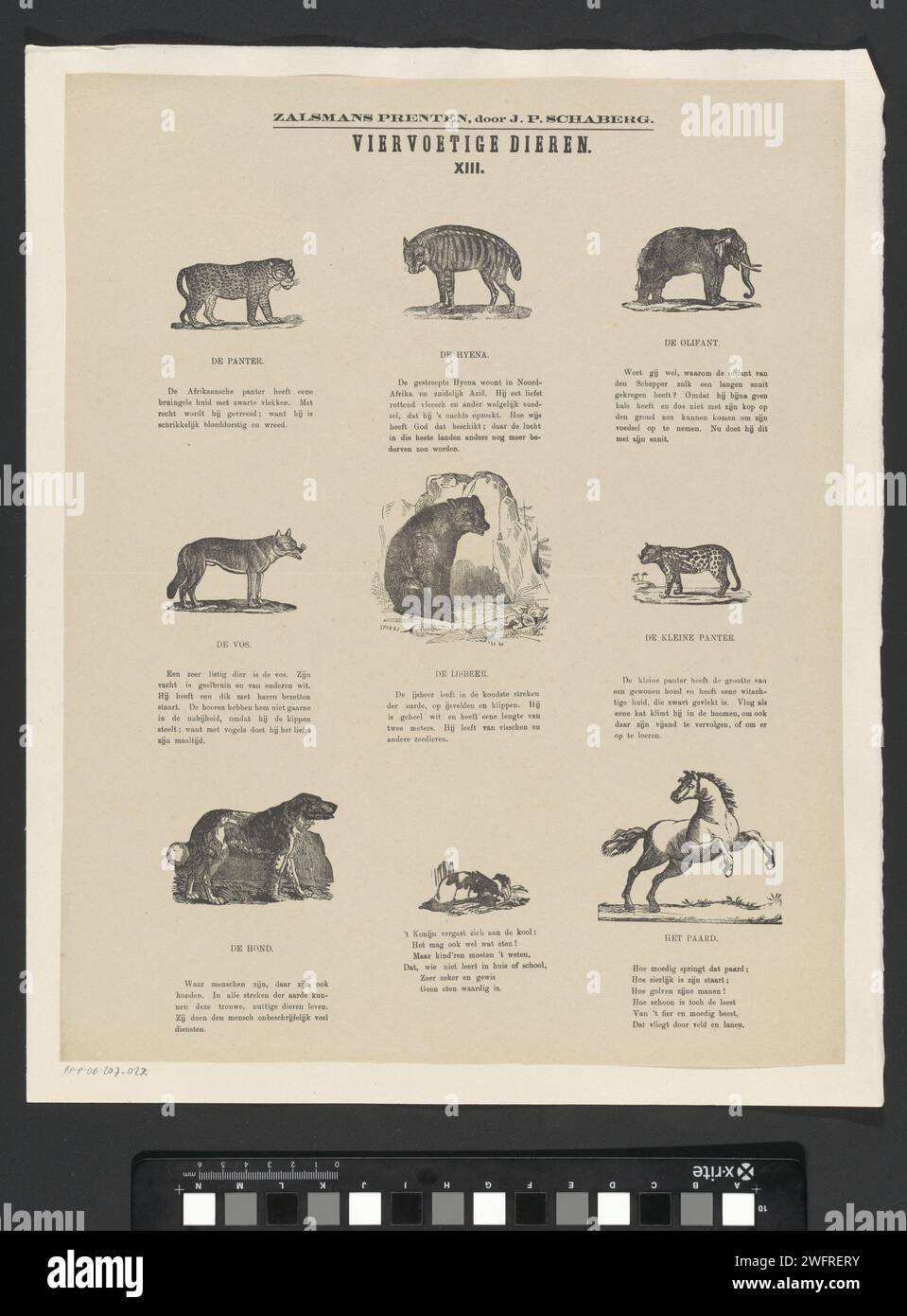 Four legged animals hi-res stock photography and images - Alamy