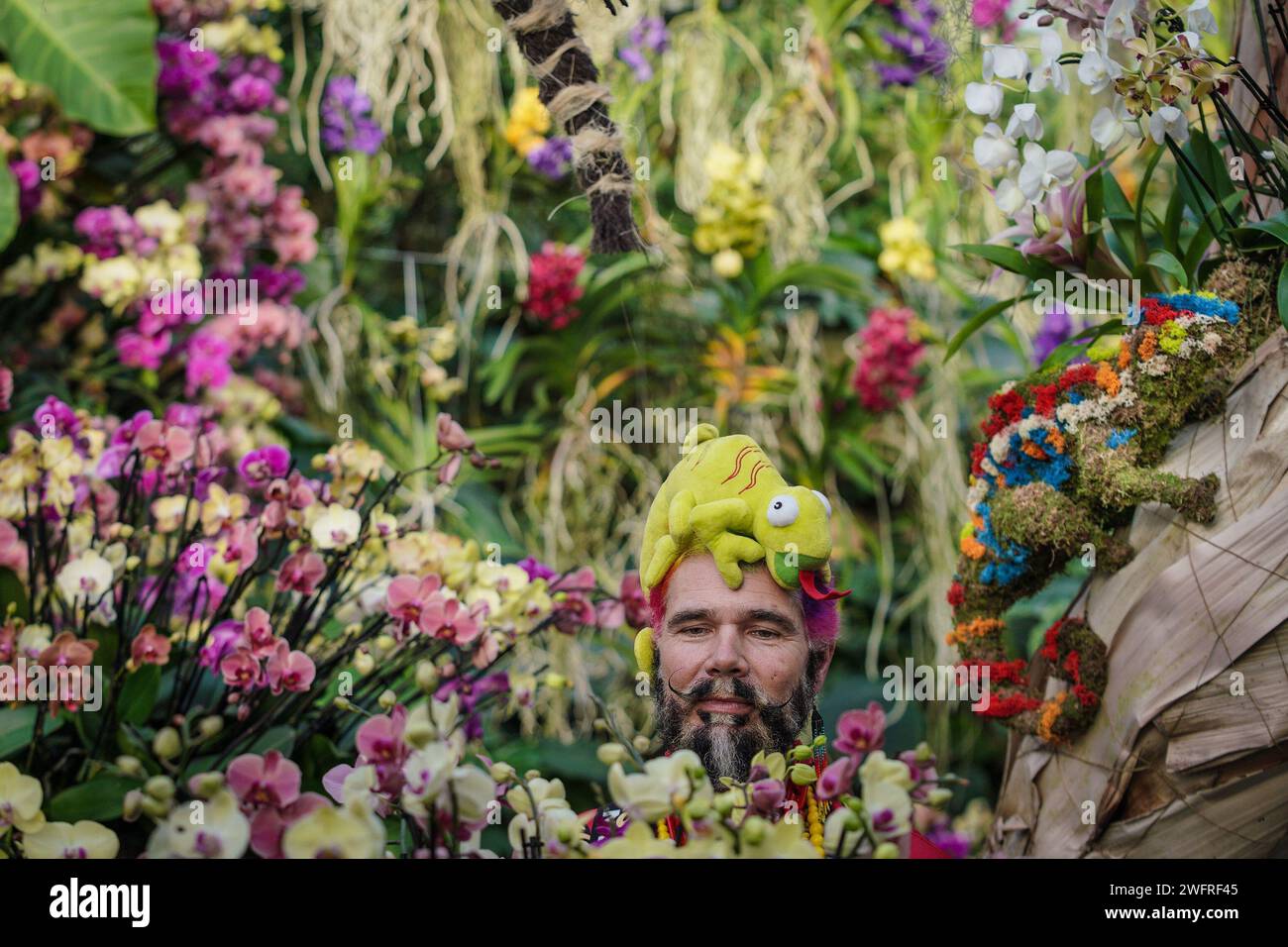 London, UK. 1st February 2024. Orchid Festival at Kew Gardens. Henck ...