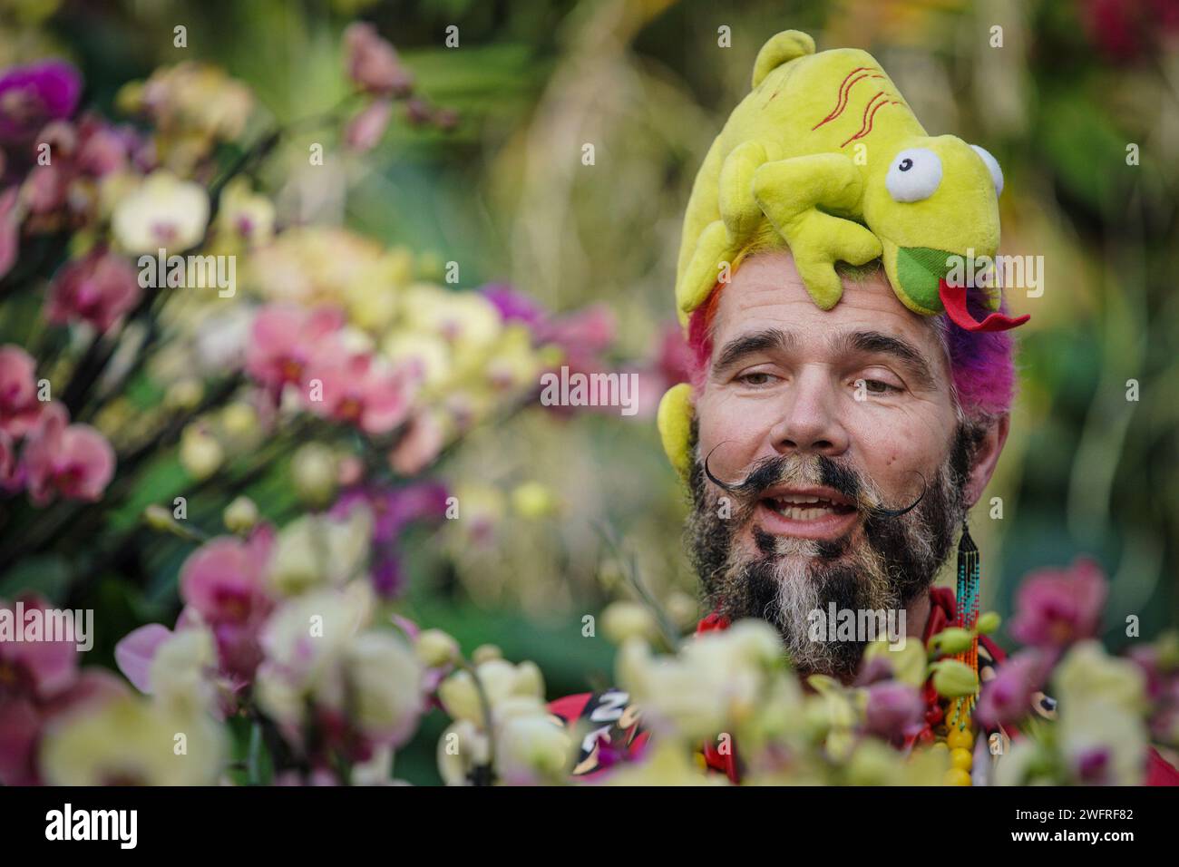 London, UK. 1st February 2024. Orchid Festival at Kew Gardens. Henck ...