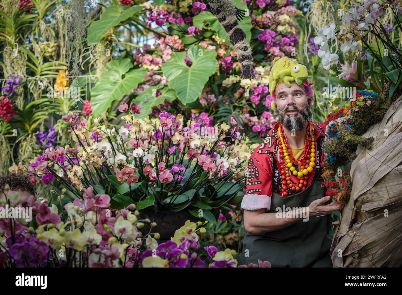London, UK. 1st February 2024. Orchid Festival at Kew Gardens. Henck ...