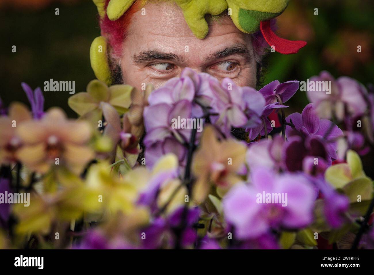 London, UK. 1st February 2024. Orchid Festival at Kew Gardens. Henck ...