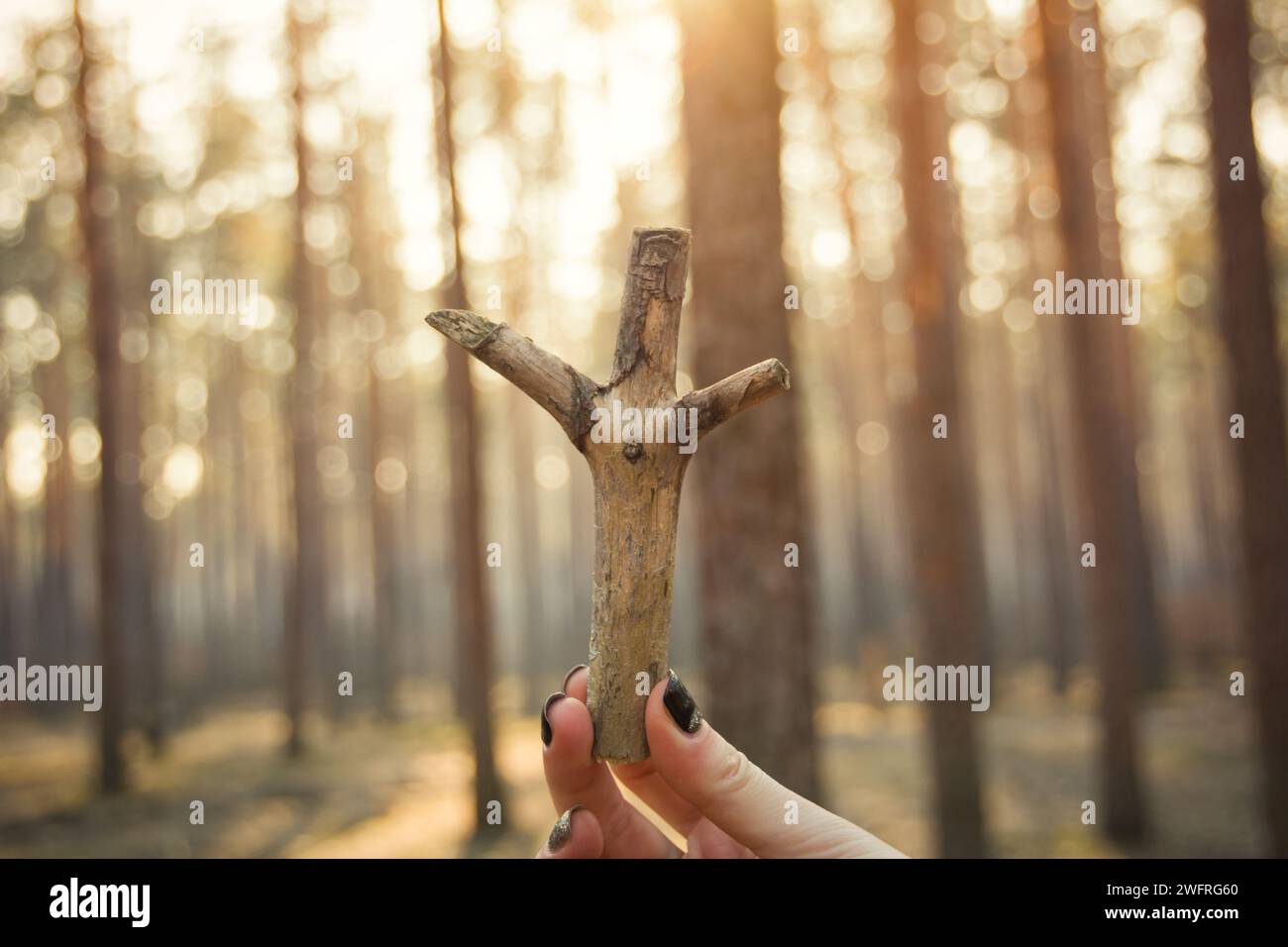Stick point hi-res stock photography and images - Alamy
