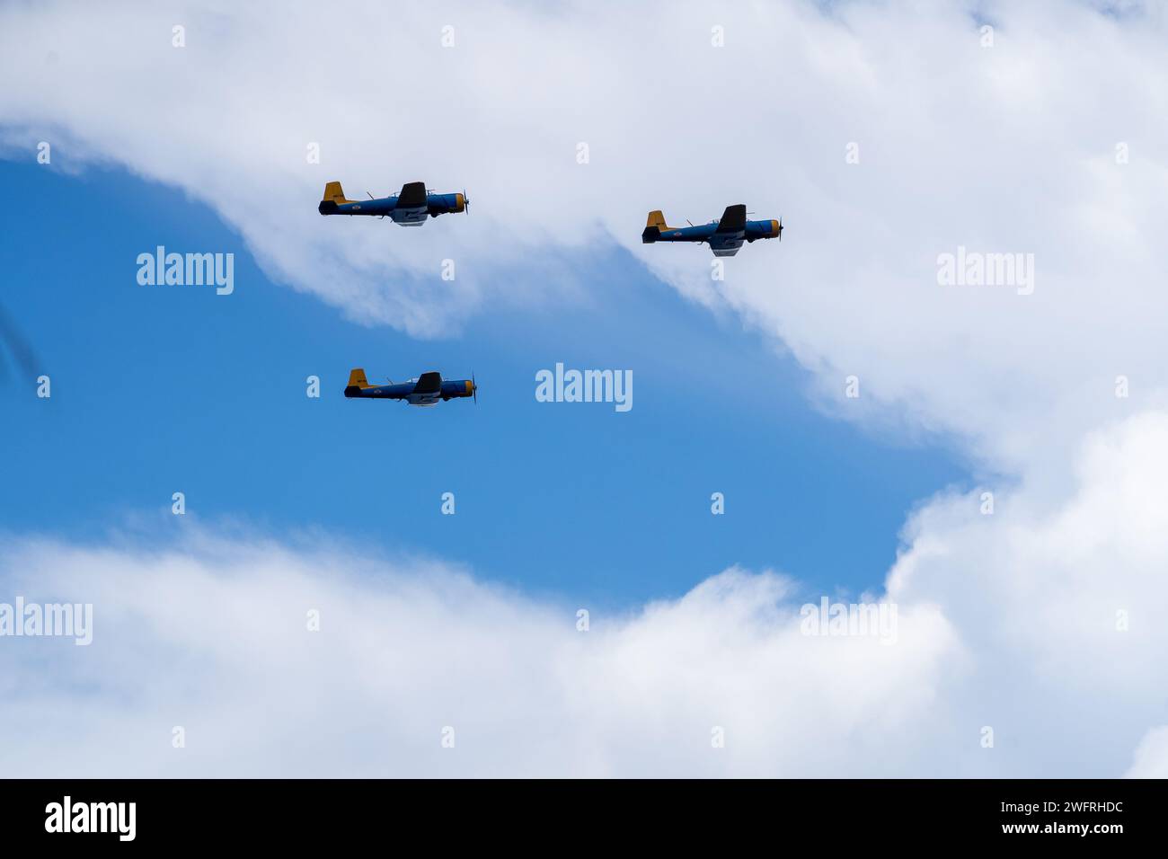 Sri Lanka. 31st Jan, 2024. Sri Lankan Airforce officers are on rehearsal for the 76th ...