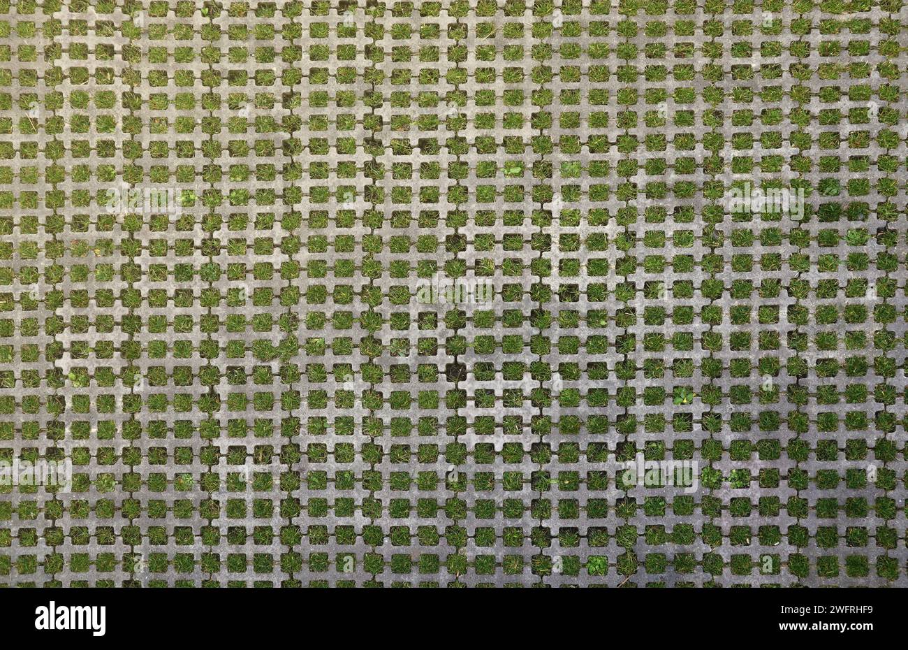 Geometric background of eco floor bricks and green grass. Eco parking ...