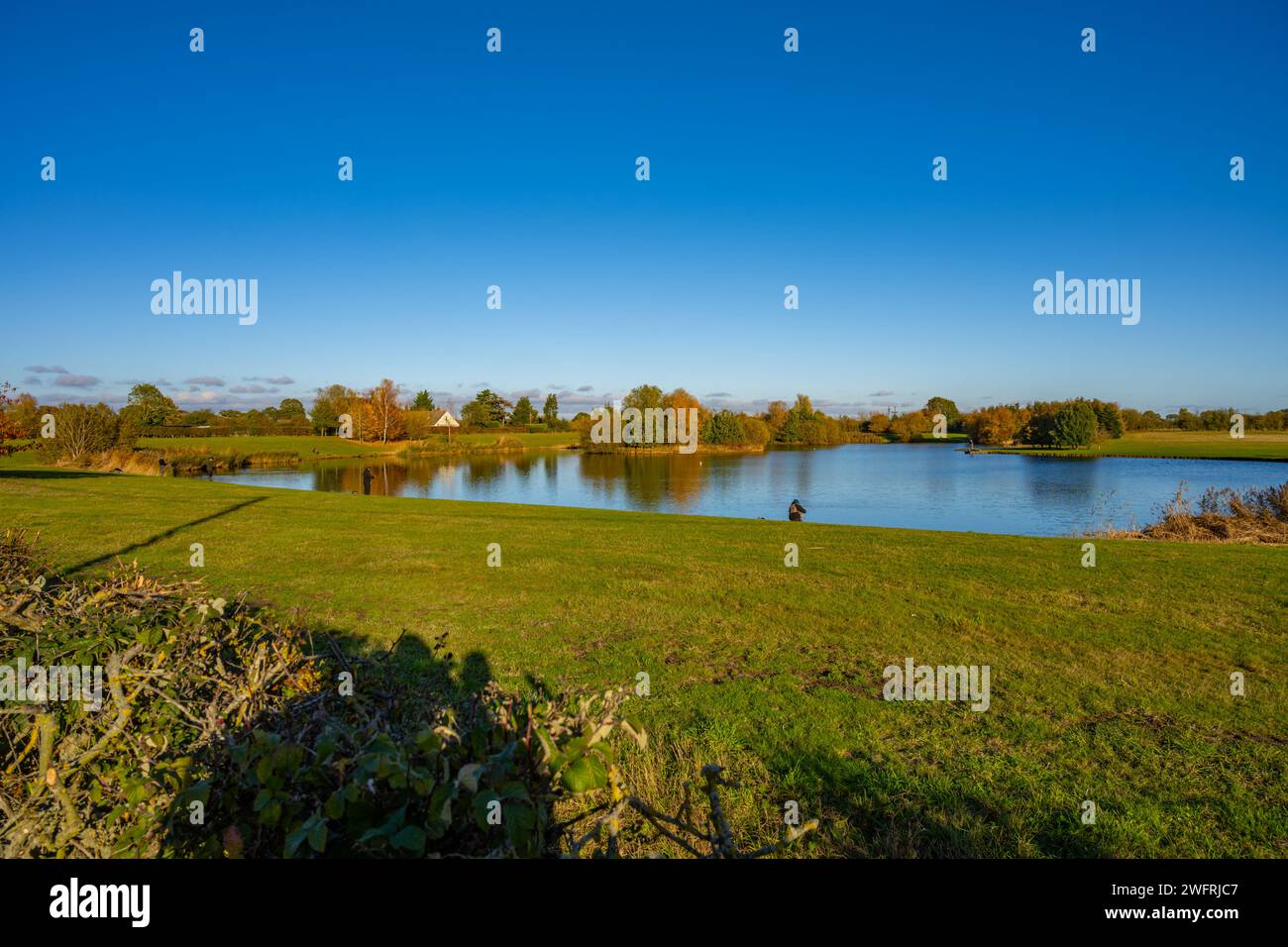 Chigborough Lakes Nature Reserve and fishing ponds near Heybridge Basin ...