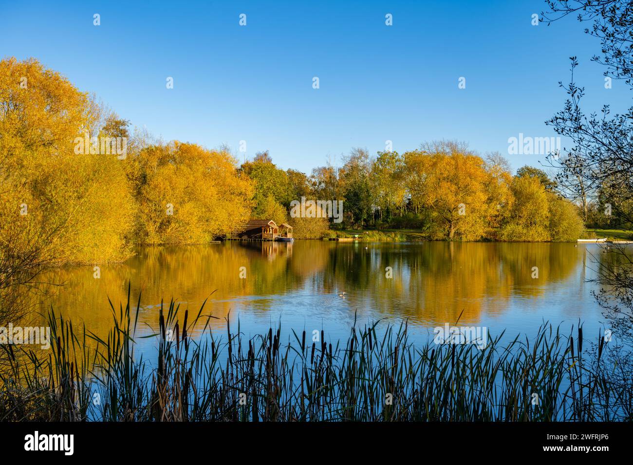 Chigborough Lakes Nature Reserve and fishing ponds near Heybridge Basin ...
