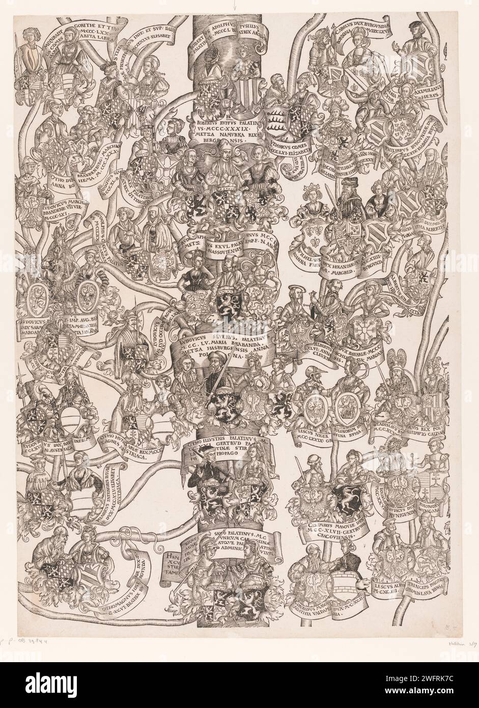 Family tree of Frederik and Ottheinrich van Palts -Neuburg (plate 17 ...