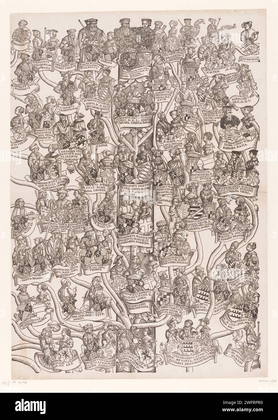 Family tree of Frederik and Ottheinrich van Palts -Neuburg (plate 20 ...