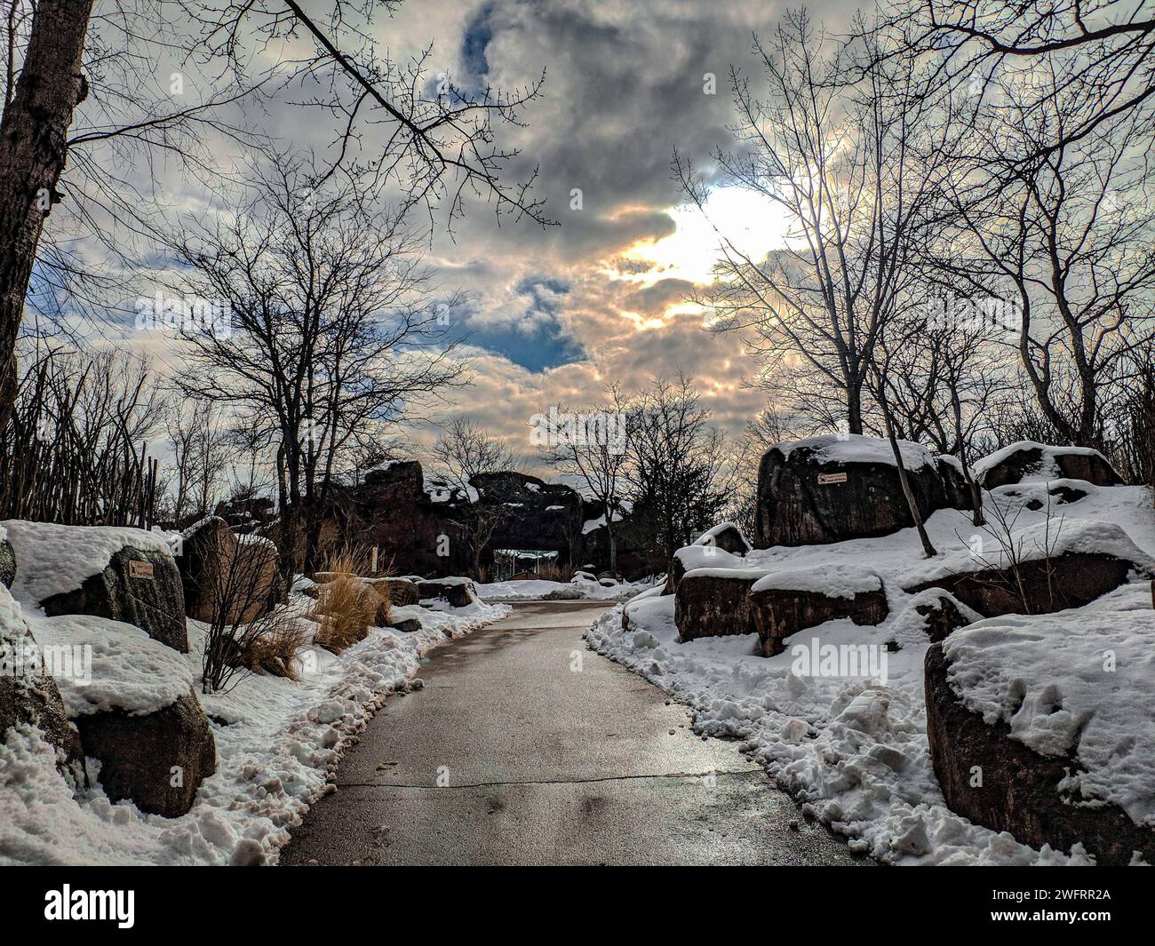 A snow-covered pathway lined with trees Stock Photo - Alamy