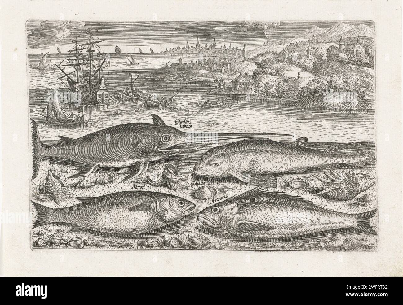 Four fish on the beach, Adriaen Collaert, After 1598 - 1618 print A ...
